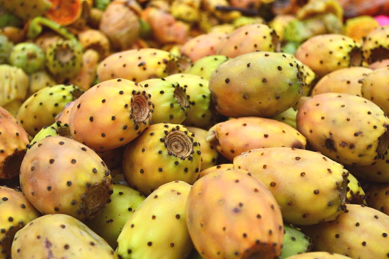 «El-hendi», un fruit aux nombreuses vertus – Le Jeune Indépendant